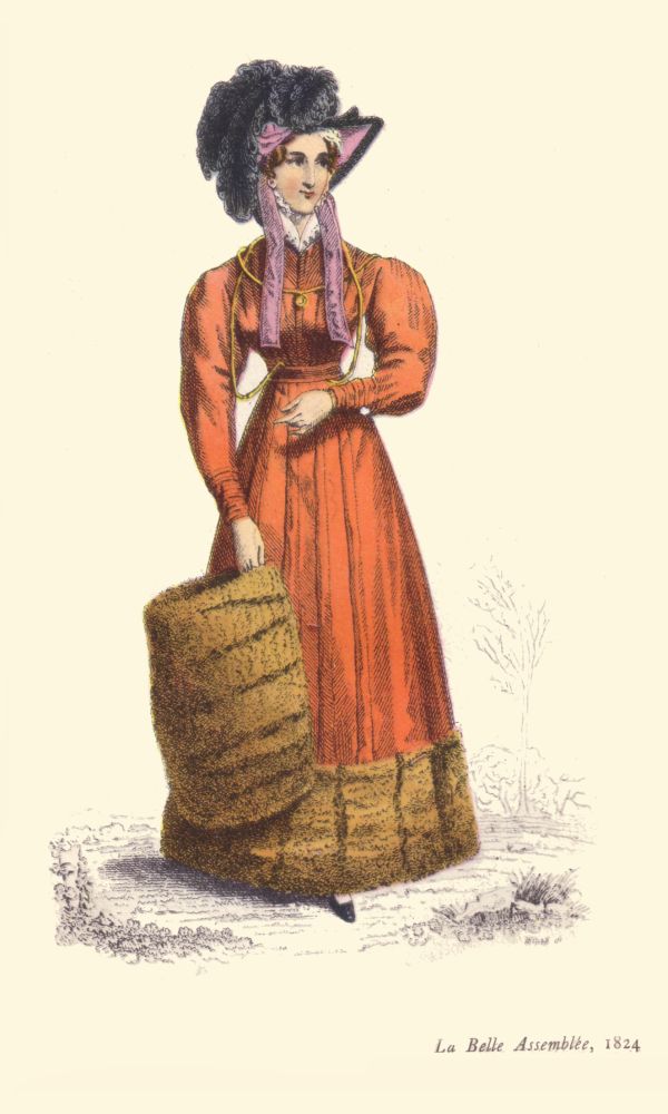 File:1824 laver coral.jpg - Wikimedia Commons